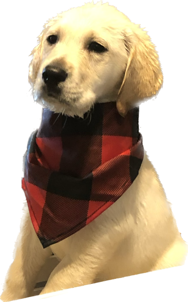 Anonymouslyfast | skUnity Forums